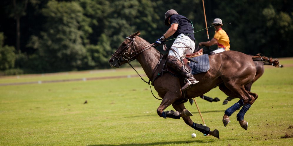 Pengertian dan Sejarah Olahraga Polo Berkuda, Kenali Juga Peraturannya