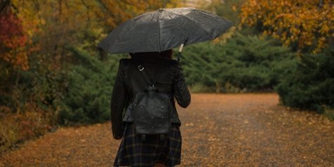 40 Quotes Pidi Baiq yang Romantis, Menyentuh dan Penuh Makna Mendalam ...