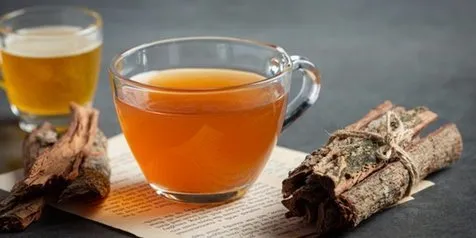 8 Manfaat Kayu Bajakah untuk Kesehatan, Obat Tradisional Kalimantan ...