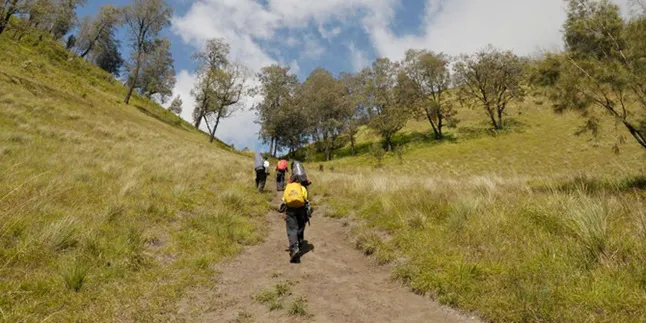 Limited to 120 People in One Day, Mount Semeru Climbing Reopens