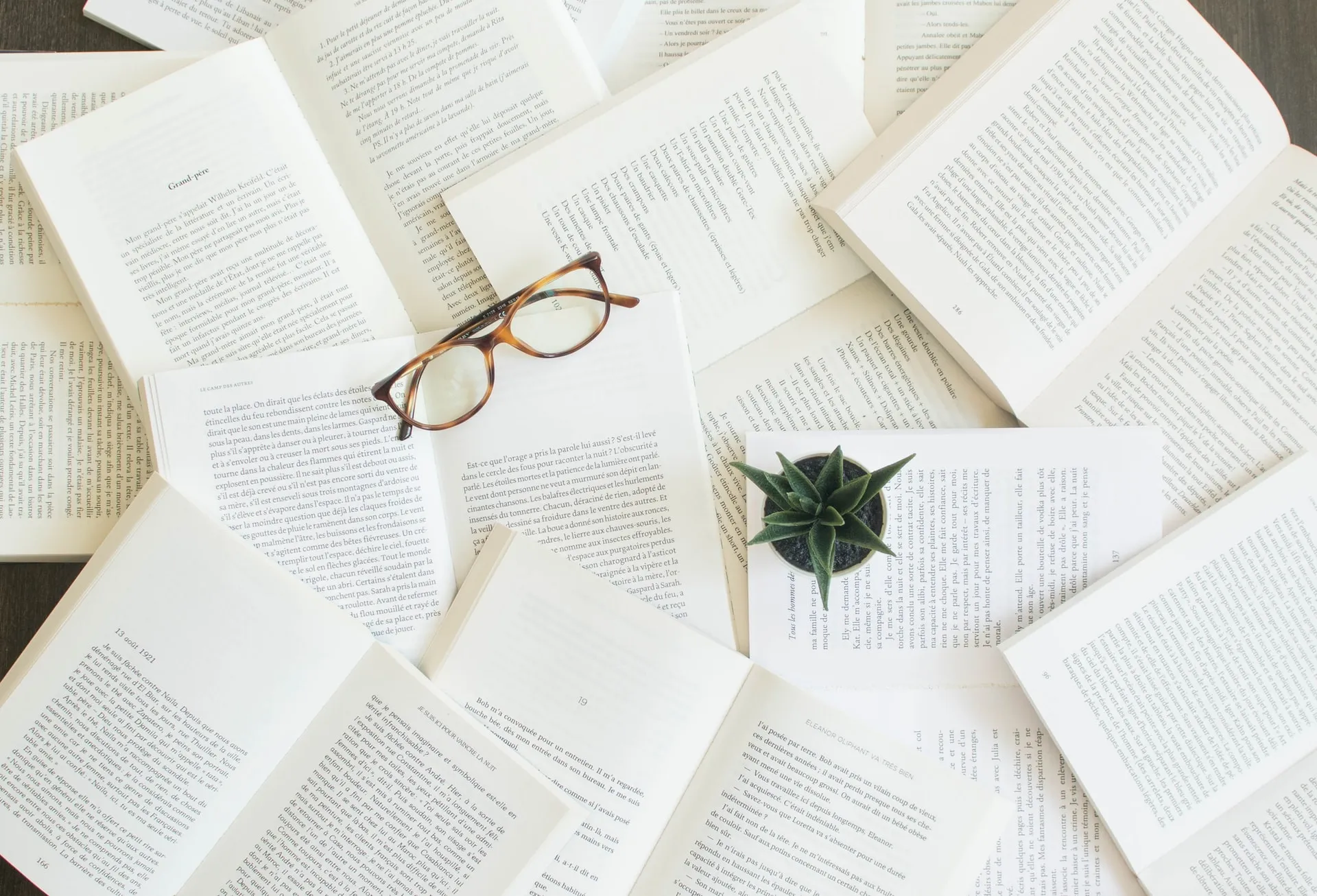 What Is The Meaning Of Description In KBBI Learn The Characteristics