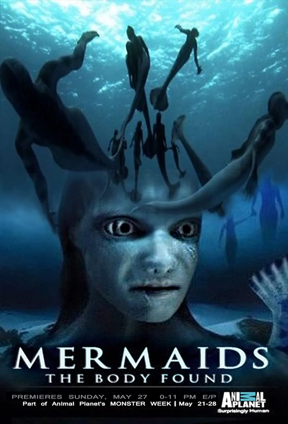 6 Rekomendasi Film Mermaid Horor dan Menegangkan, Jauh dari Kisah ...