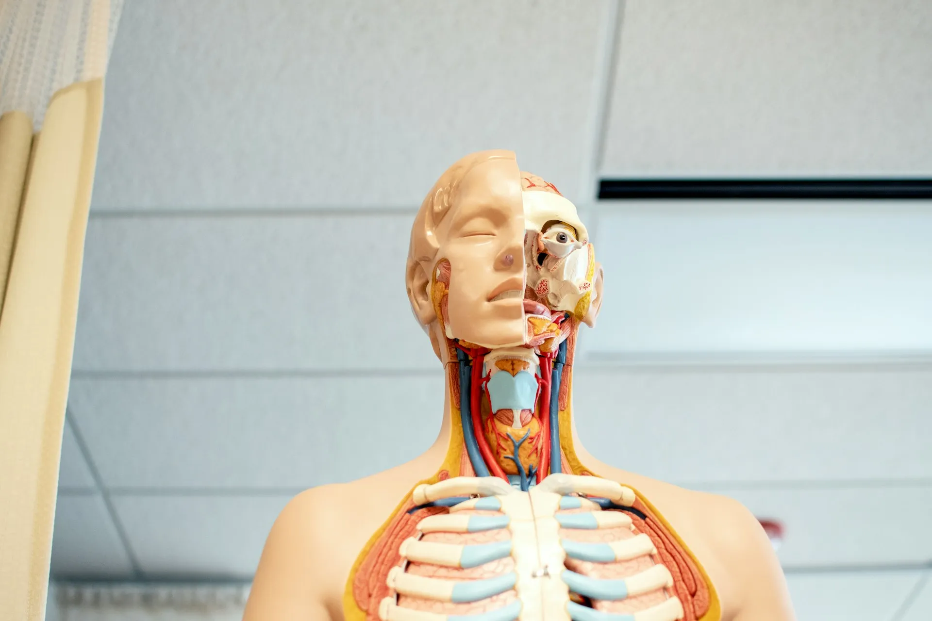 Cara Daftar Donor Organ Setelah Meninggal: Panduan Lengkap untuk ...