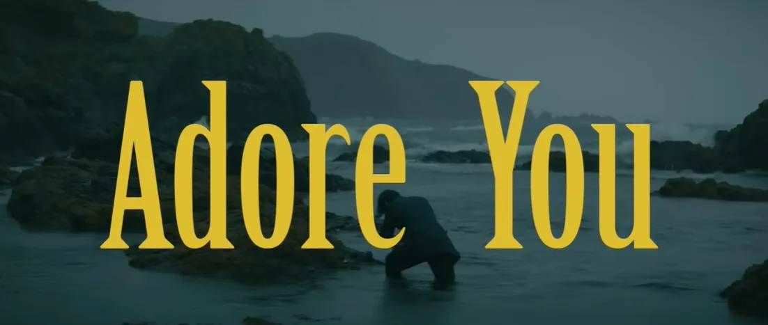 Makna Lagu Adore You - Harry Styles, Saat Mencintai Seseorang Saja ...