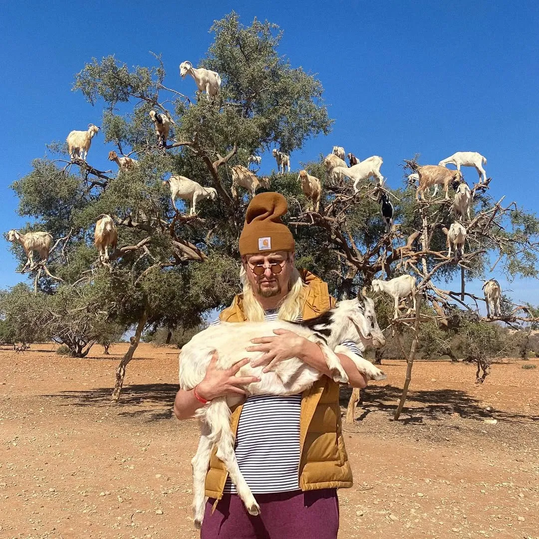 Oliver Tree Dikabarkan Meninggal Dunia dalam Kecelakaan Helikopter di ...