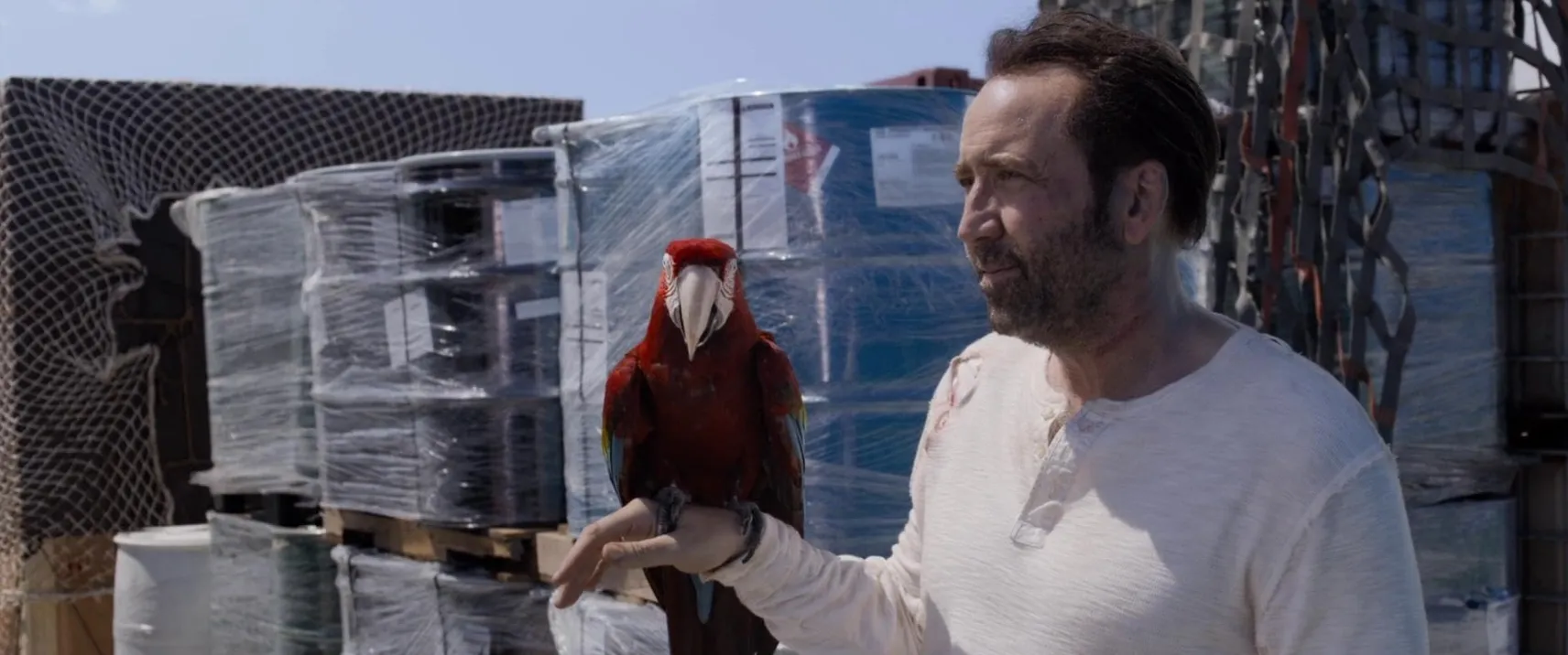 Sinopsis Film PRIMAL yang Tayang di TV Malam Ini, 4 Agustus 2025 Jam 23.00 - KapanLagi.com