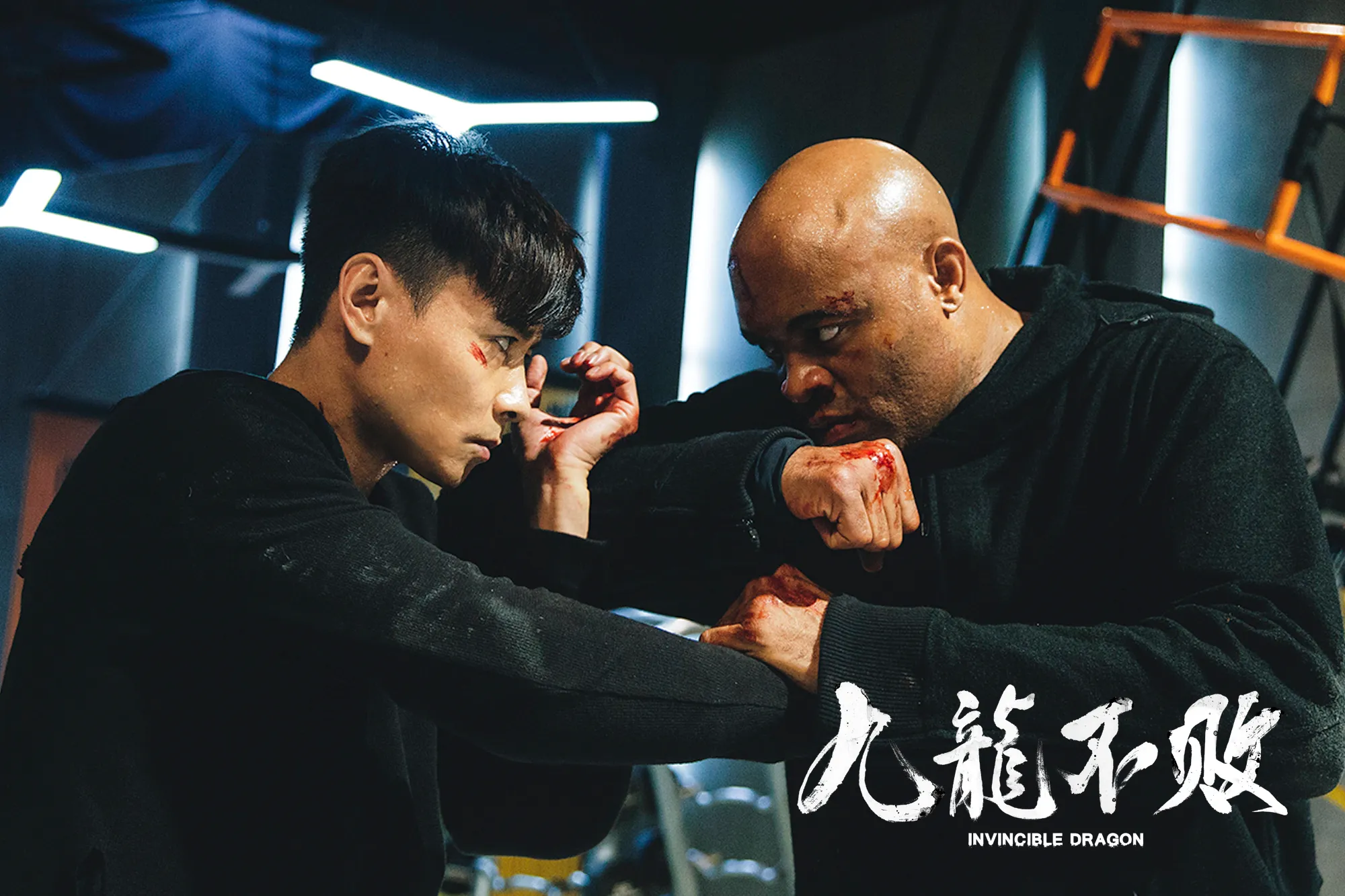 Sinopsis Film THE INVINCIBLE DRAGON, Senin 16 Februari 2026 Tayang ...