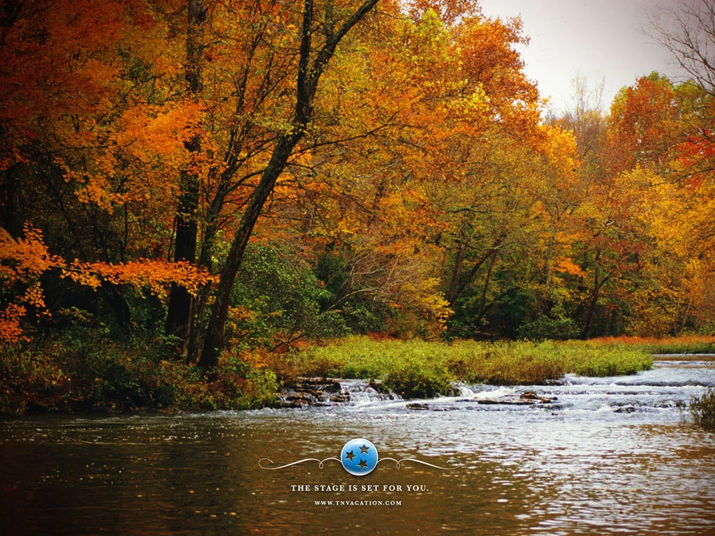 Wallpaper - Autumn in Tennessee - KapanLagi.com