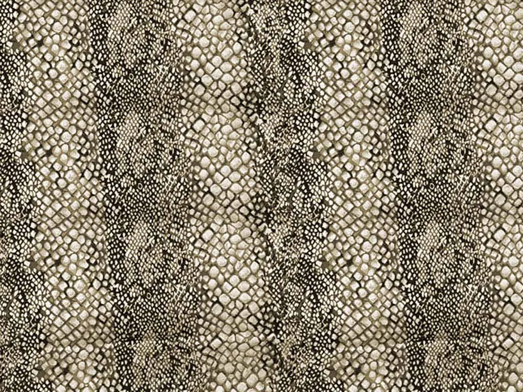 Wallpaper - Snakeskin - KapanLagi.com