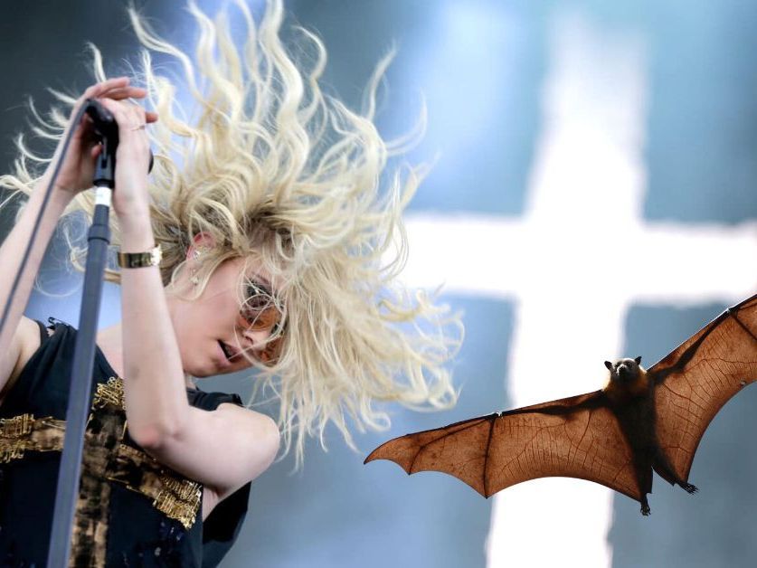 'Pretty Reckless' Singer Taylor Momsen Gets Bitten By Bat During ...
