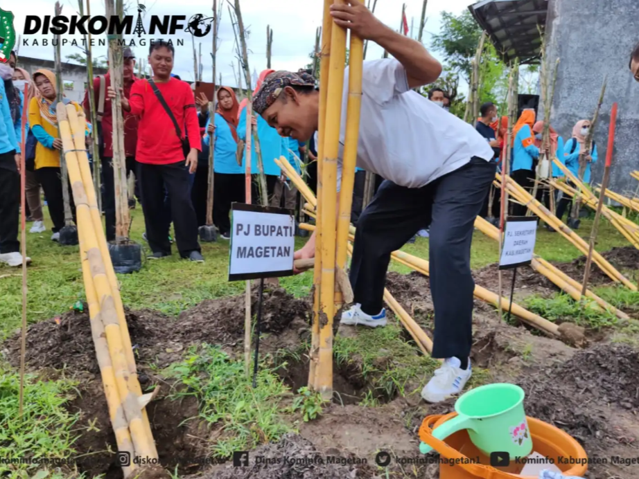 Potret Kebun Raya Bambu Pertama di Indonesia, Punya 103 Jenis Bambu ...