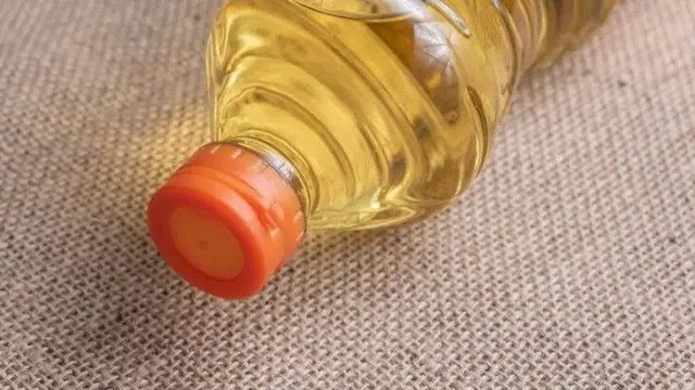 Manfaatkan Minyak Goreng Bekas, Cara Menyaring dan Menggunakannya ...