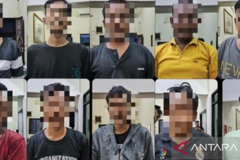 Fakta Unik Sabung Ayam: Polres Banyuasin Ringkus 10 Pelaku Judi Sabung ...