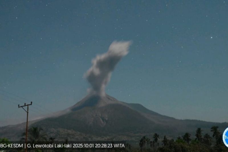 Tahukah Anda? Gunung Lewotobi Laki-laki Lontarkan Abu Setinggi 1.500 Meter, Warga Diminta ...