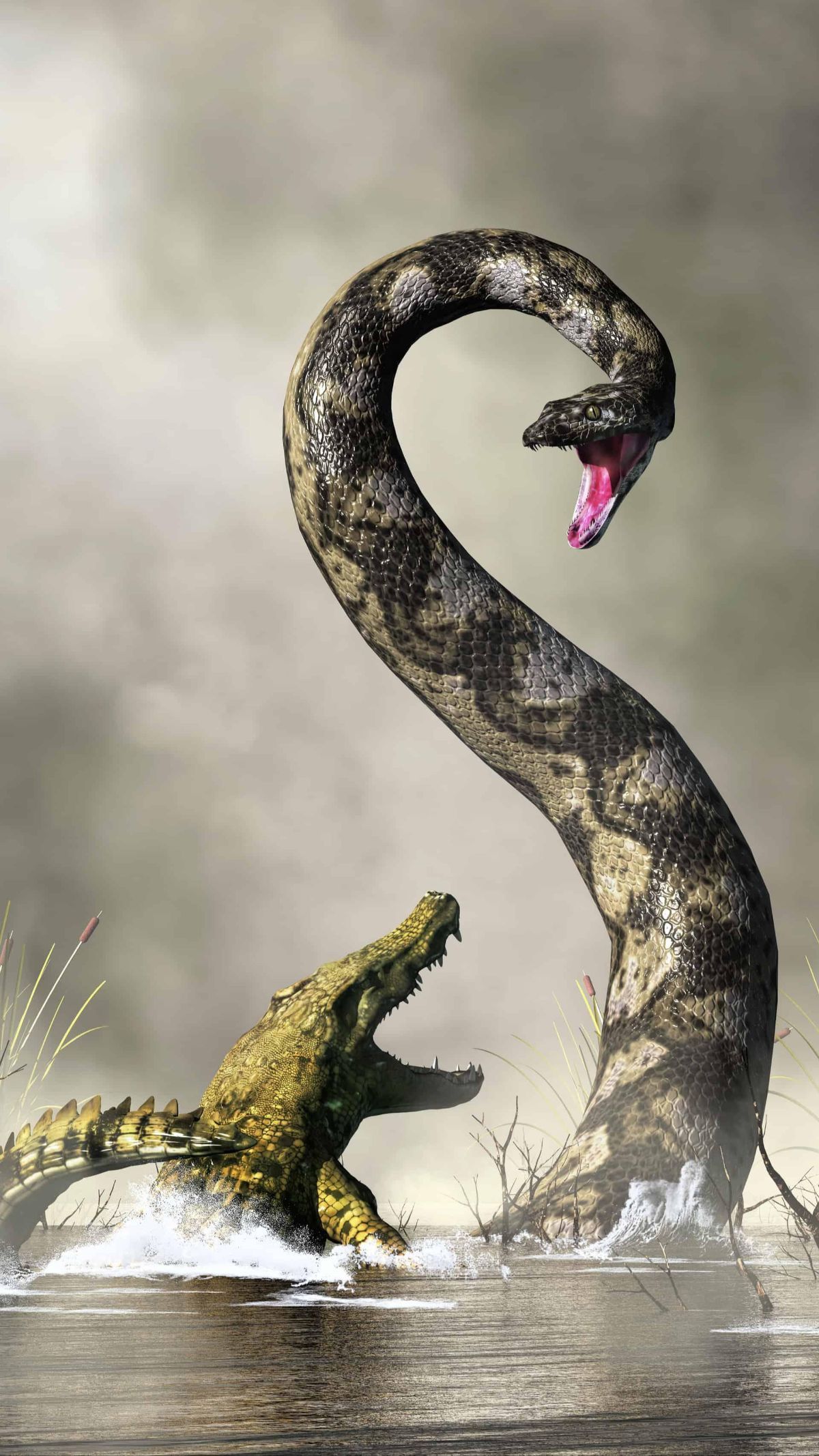 Bukan Piton, Boa atau Anaconda, Inilah Ular Paling Besar yang Pernah ...