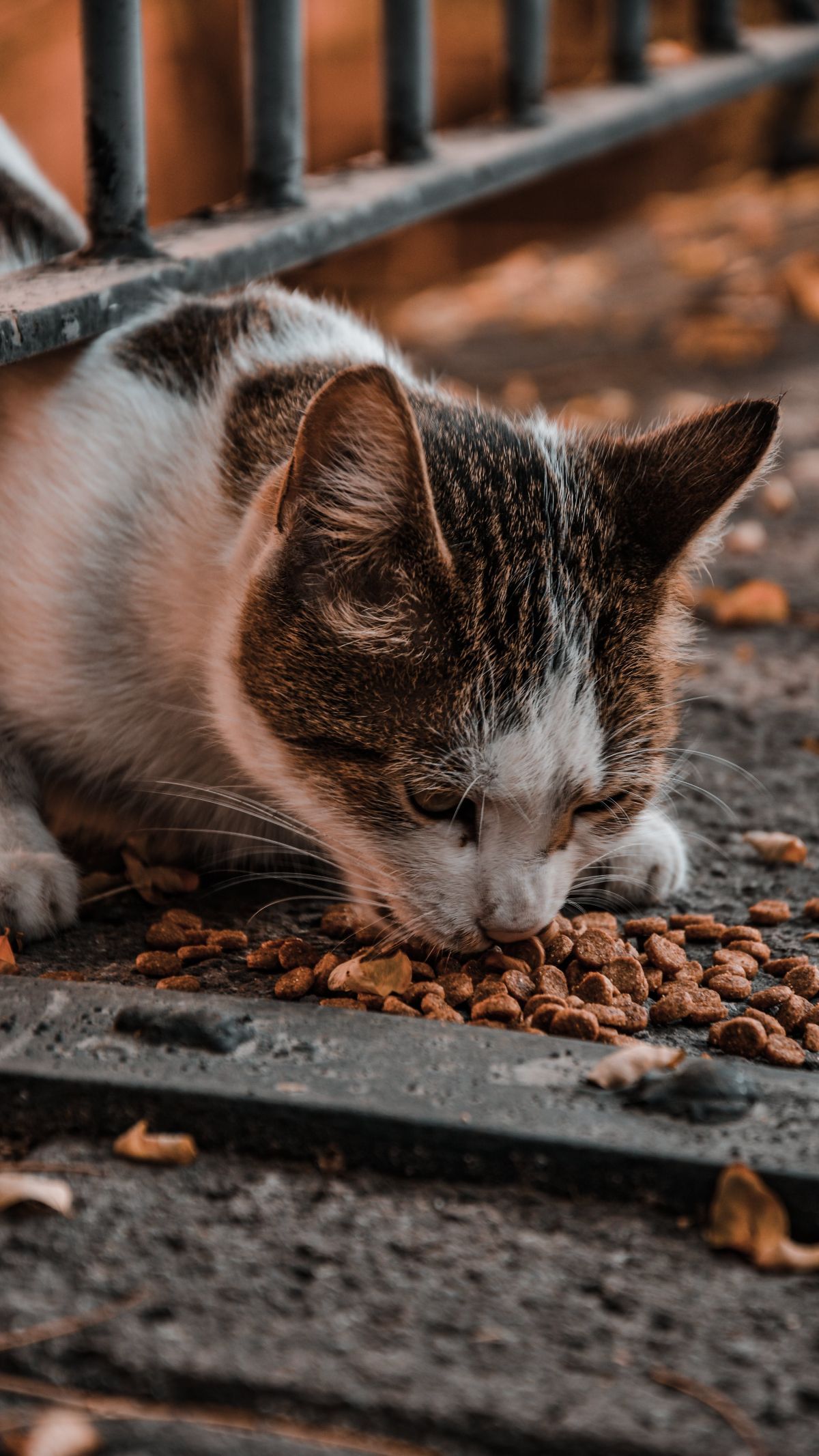 Mengungkap Dahsyatnya Pahala Amalan Amalan Kecil Yang Sering Diremehkan