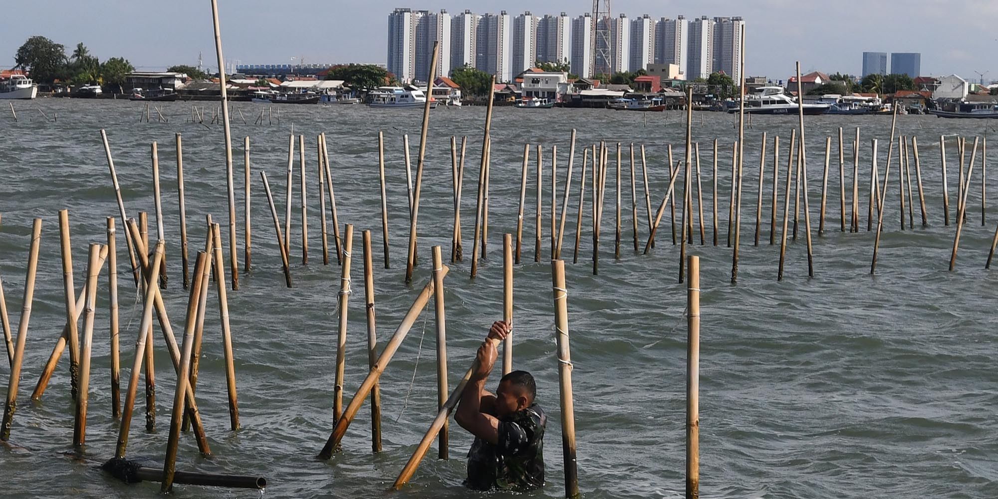 Solusi Akhiri Polemik Pagar Laut Tangerang, Anggota DPR: Batalkan SHM dan HGB-nya! - merdeka.com