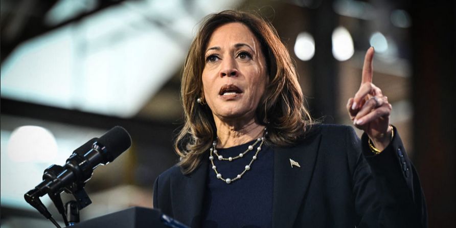 Kamala Harris Coconut Tree Quote: 450 Simple Phrases Explained ...