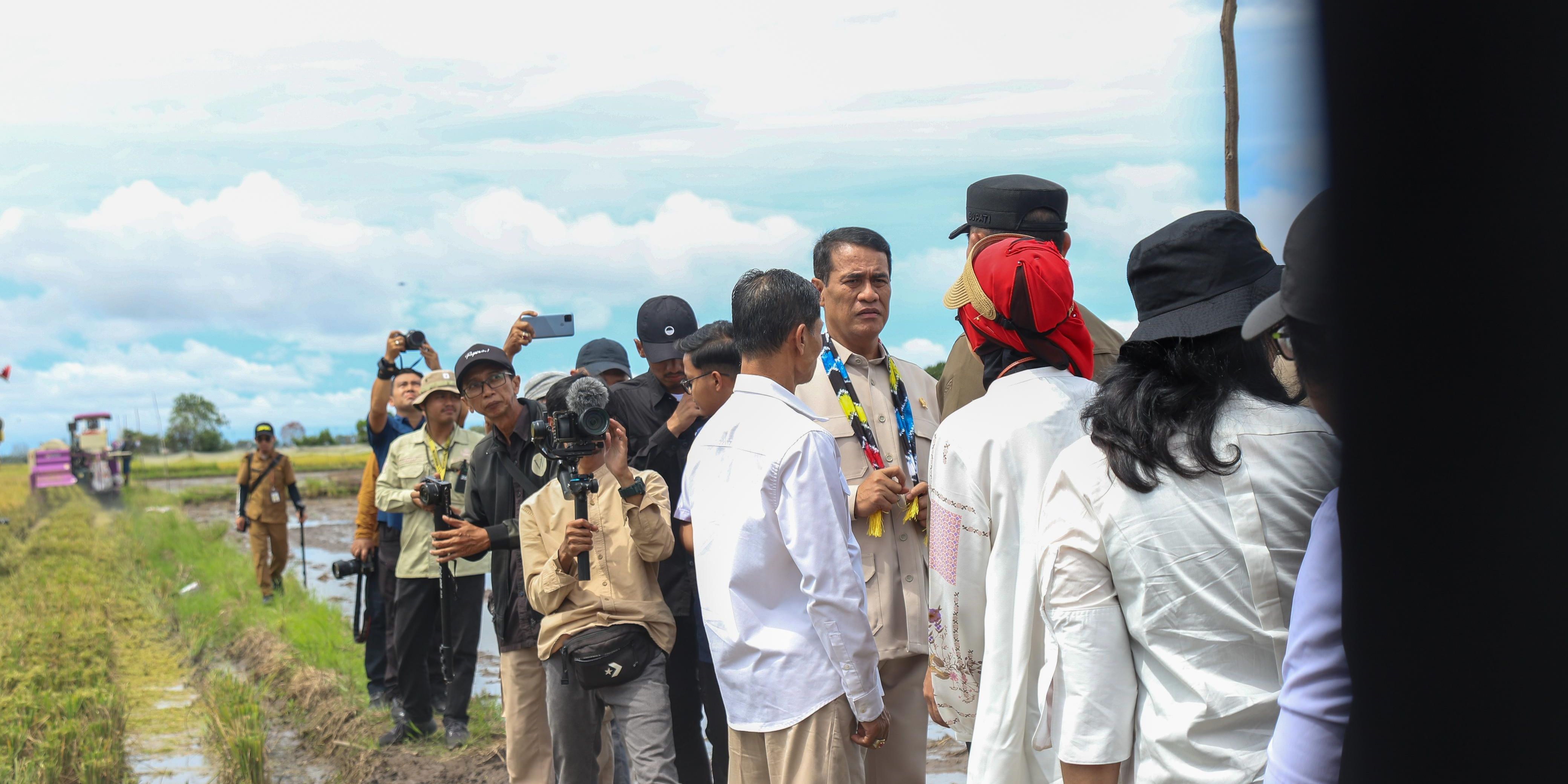 Tanam Padi 3 Kali Setahun, Kalsel Bisa Jadi Lumbung Pangan Nasional - merdeka.com