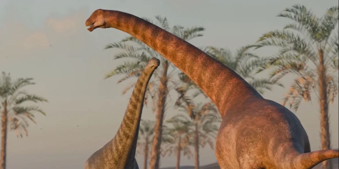 Ilmuwan Temukan Spesies Baru Titanosaurus dalam Tumpukan Fosil Berusia ...