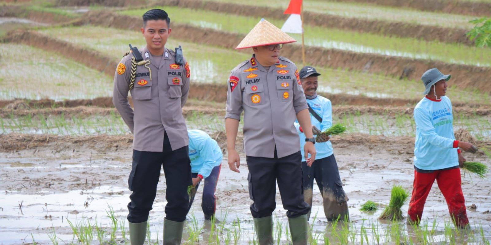 Kapolda Lampung Hadiri Gerak Tanam Raya Padi Serentak, Dukung Ketahanan Pangan Nasional ...