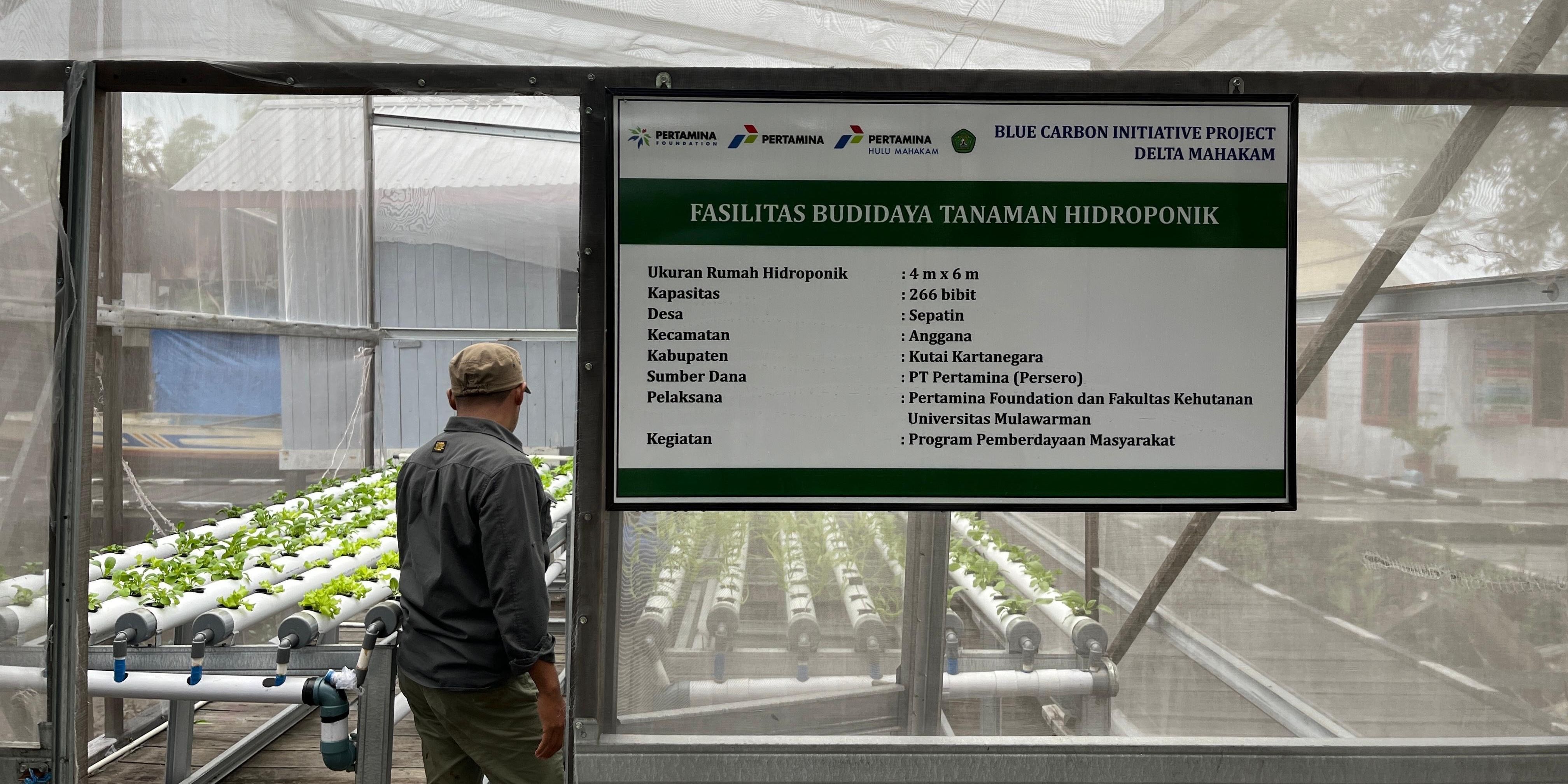 Pertamina Foundation Wujudkan Pelestarian Lingkungan Lewat Program Hutan Lestari - merdeka.com