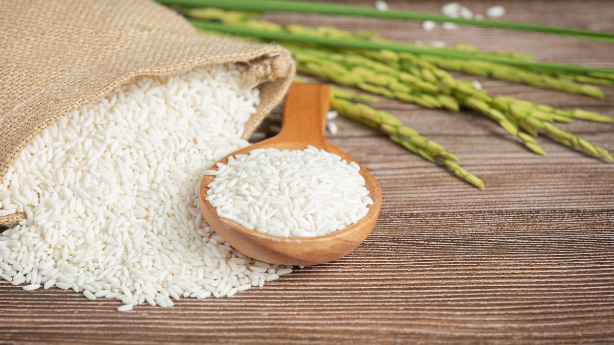 Mualaf Seperti Apa yang Boleh Diberi Zakat? Begini Penjelasannya