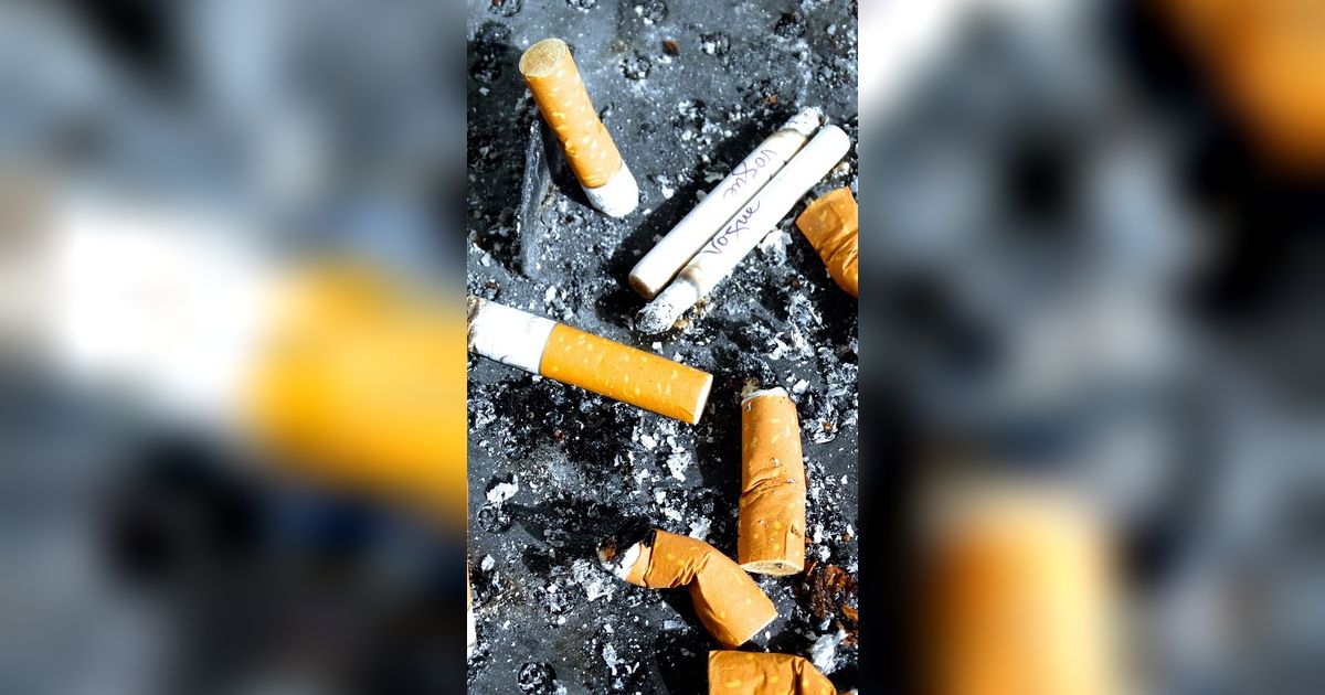 Saat Presiden RI Marah & Turun Langsung Razia Rokok Para Pengawal di ...