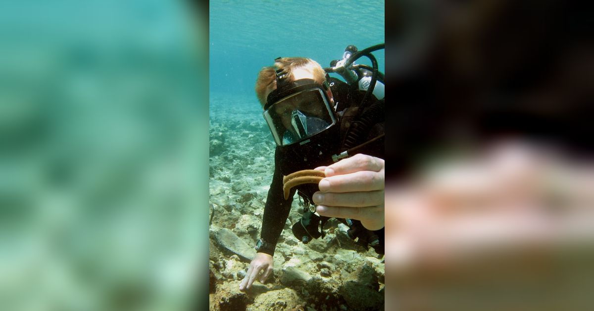 Heboh Penemuan Kota Berusia 5.000 Tahun di Bawah Laut, Jalanan dan ... Heboh Penemuan Kota Berusia 5.000 Tahun di Bawah Laut, Jalanan dan ...