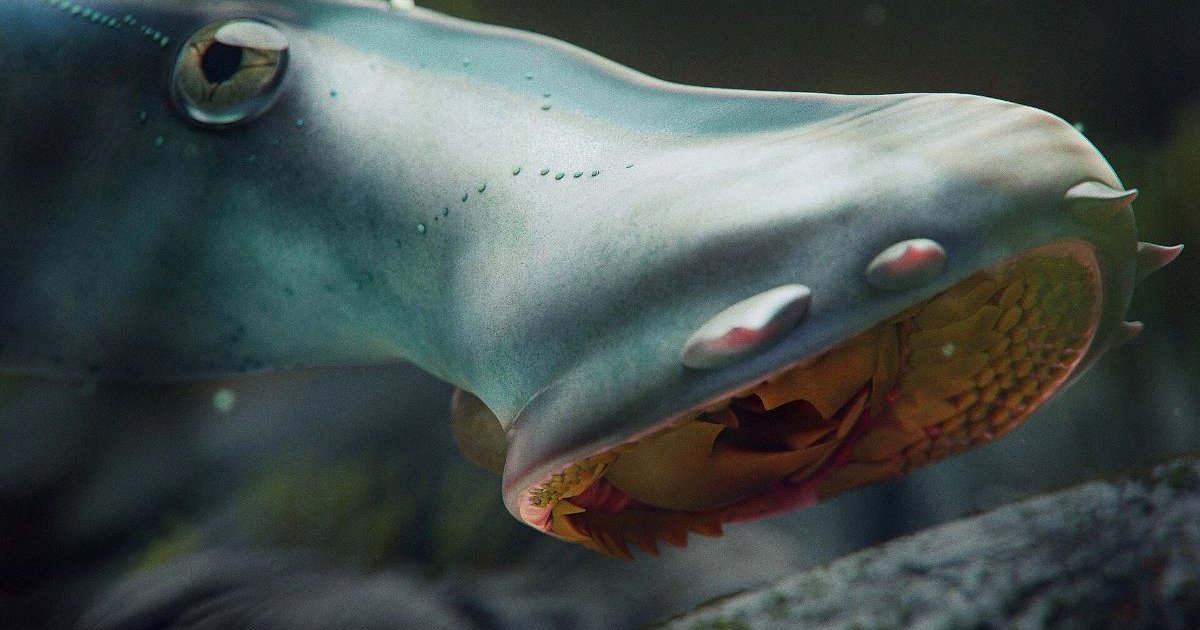 2 Spesies Lamprey Kuno Terbesar Akhirnya Ditemukan, Ikan dengan Wujud ...