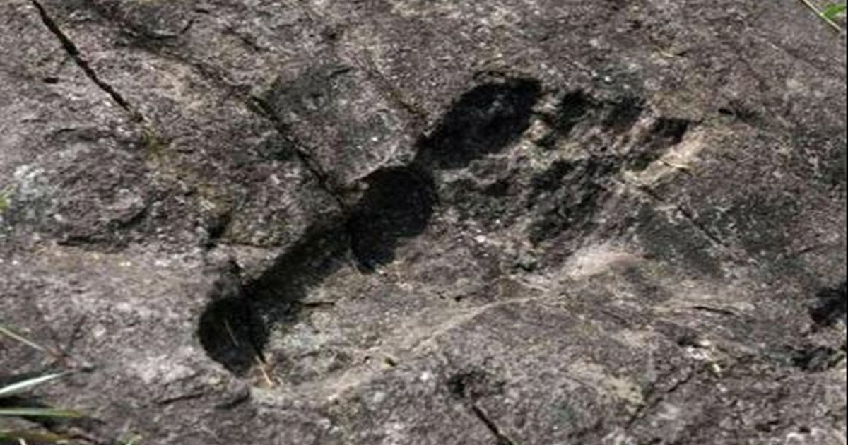 Viral Penemuan Jejak Kaki Manusia di China, Diduga Milik Raksasa yang ... Viral Penemuan Jejak Kaki Manusia di China, Diduga Milik Raksasa yang ...