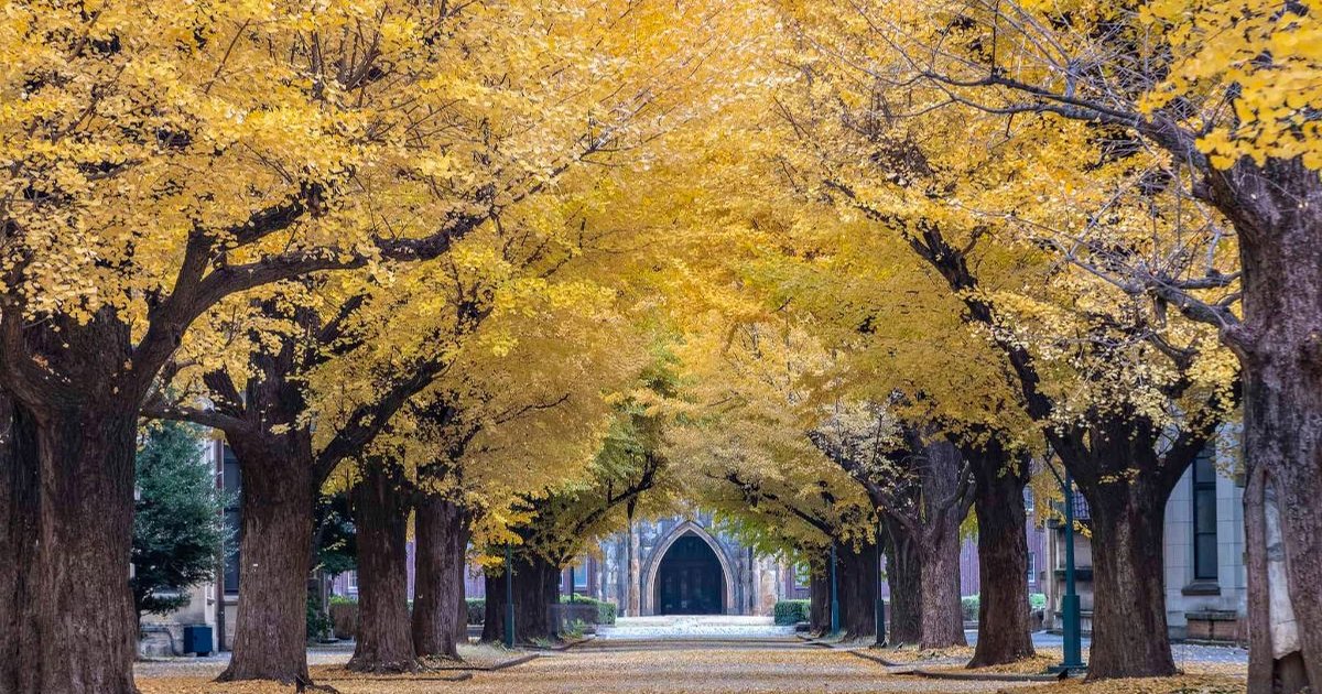 12 Negara dengan Rata-Rata IQ Tertinggi, Nomor 1 Ada di Asia lho!