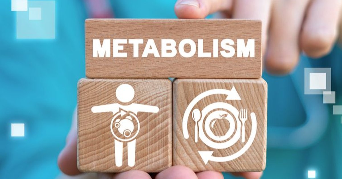 Bantu Turunkan Berat Badan, Begini Caranya Tingkatkan Metabolisme Tubuh ...