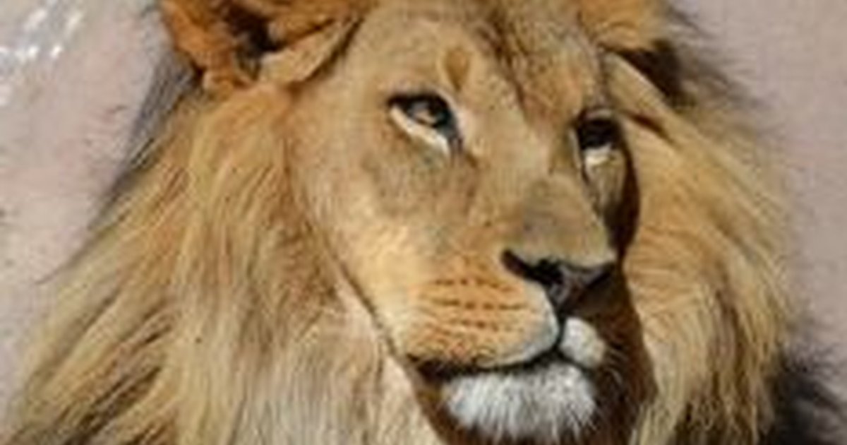 Serangan Singa Paling Mematikan dalam Sejarah Manusia