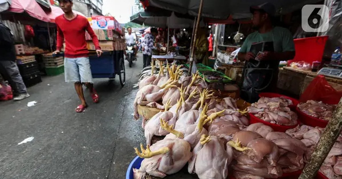 Harga Terbaru Ayam Per Kilogram di Jakarta April 2025 - merdeka.com