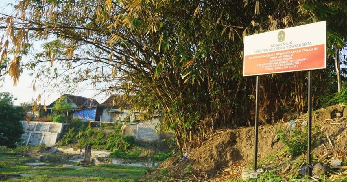 Dari Lahan Tidur 1.500 Meter Persegi: Pemkot Yogya Wujudkan Pertanian ...
