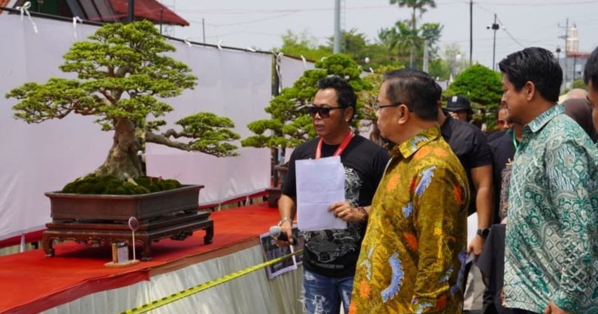 Fakta Unik Bonsai: Pameran Bonsai Pati Diharapkan Dorong Ekonomi ...