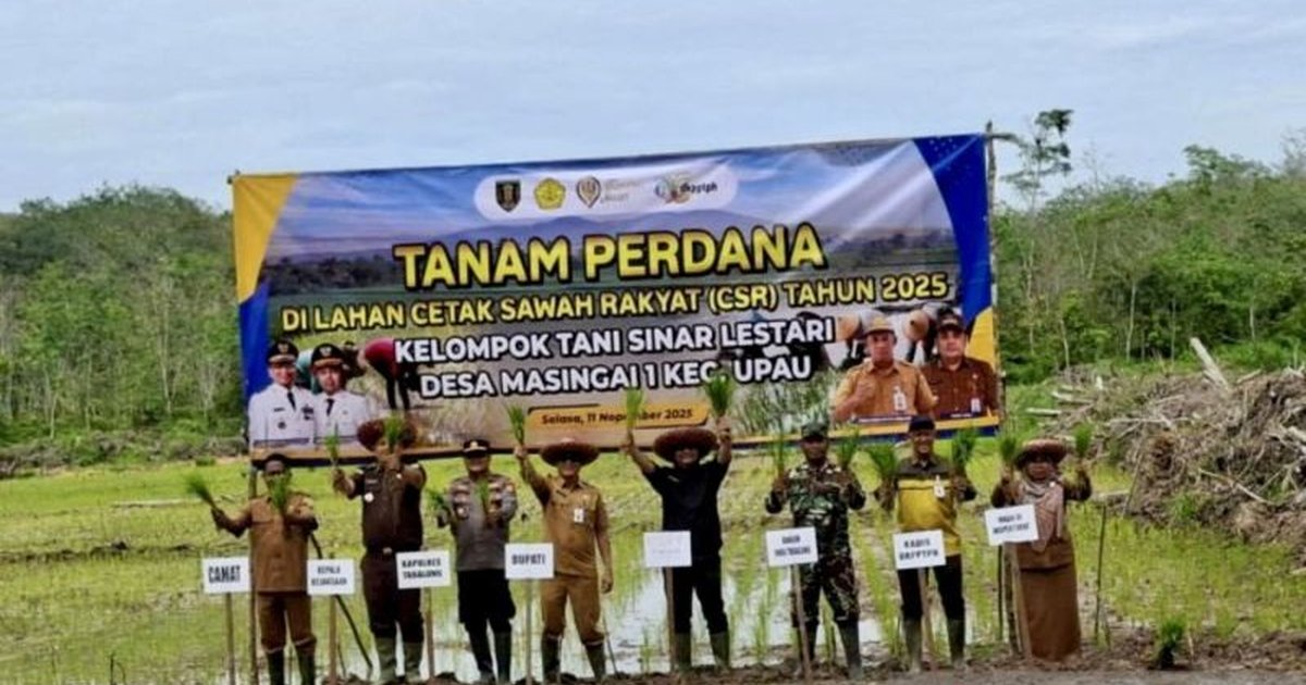 Optimalkan Lahan Tidur, Program Cetak Sawah Rakyat Tabalong Dukung ...