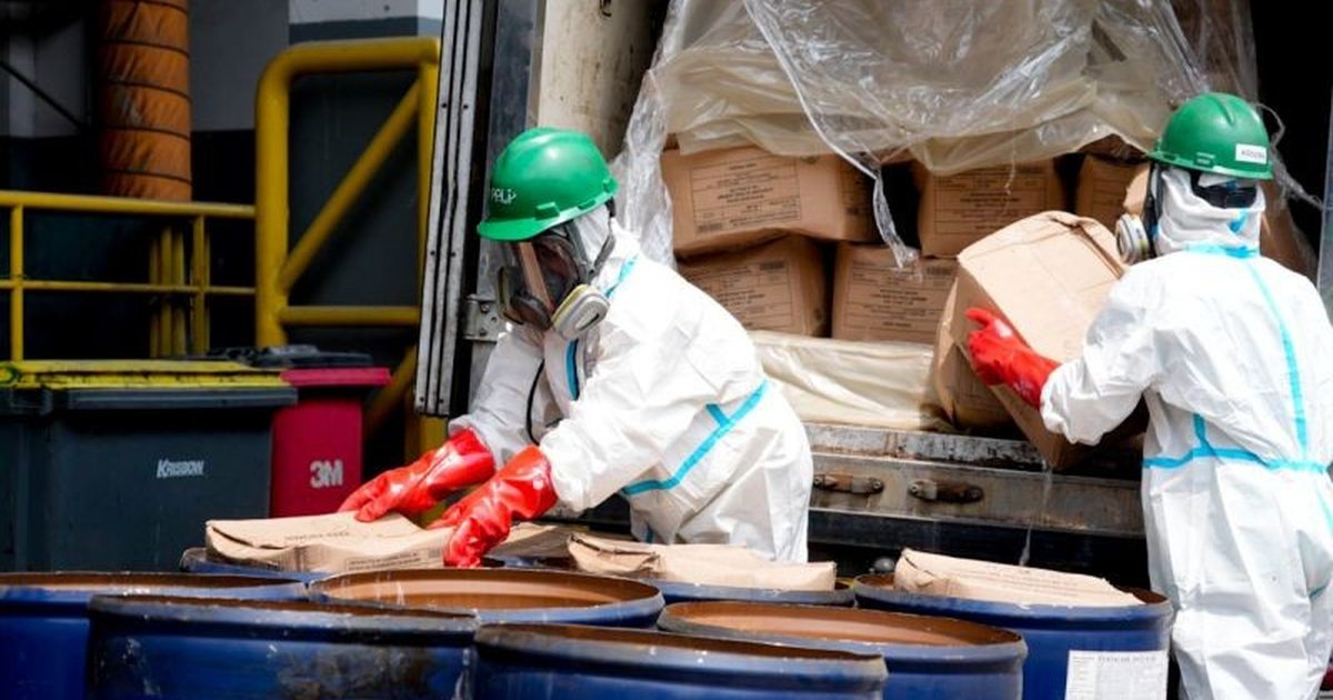 Barantin Musnahkan 5,7 Ton Udang Terkontaminasi Cesium-137 Demi ...