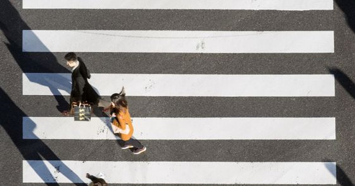 Kenapa Zebra Cross Berwarna Hitam Putih? - merdeka.com