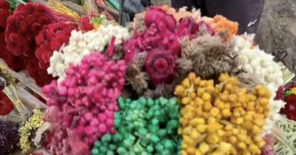 Bunga Edelweis Dilindungi Tapi di Gunung Bromo Kok Bisa Dijual Belikan ...