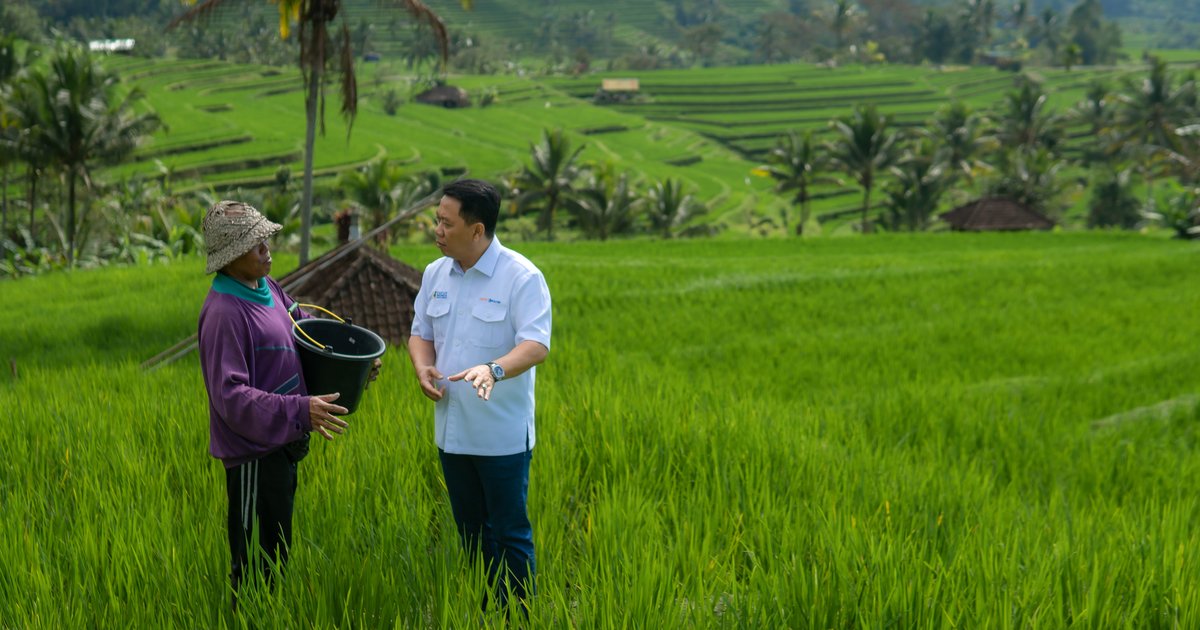 Program Makmur dan Agrosolution Terealisasi di 74.486 Hektare Lahan dan 28.315 Petani Sudah ...