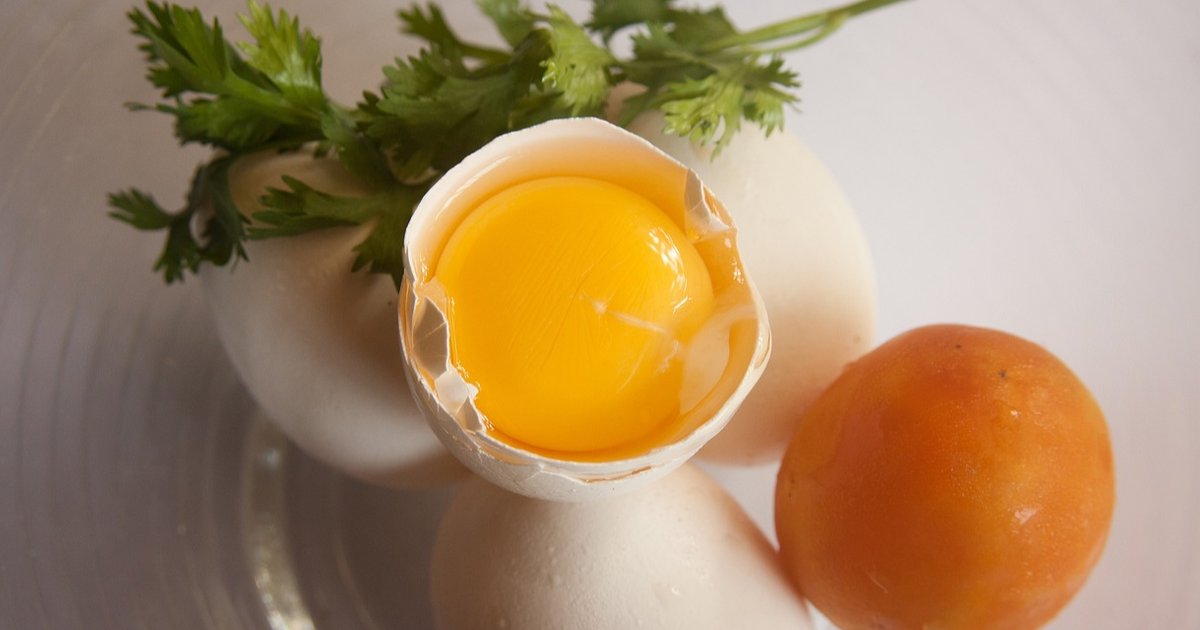 6 Manfaat Kuning Telur untuk Luka, Bantu Redakan Rasa Sakit - merdeka.com