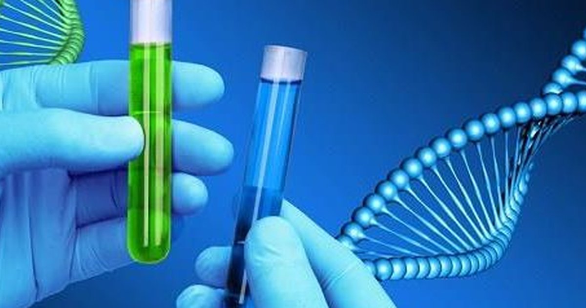 Begini Cara Kerja Tes DNA untuk Mengetahui Apakah Dua Orang Memiliki ...