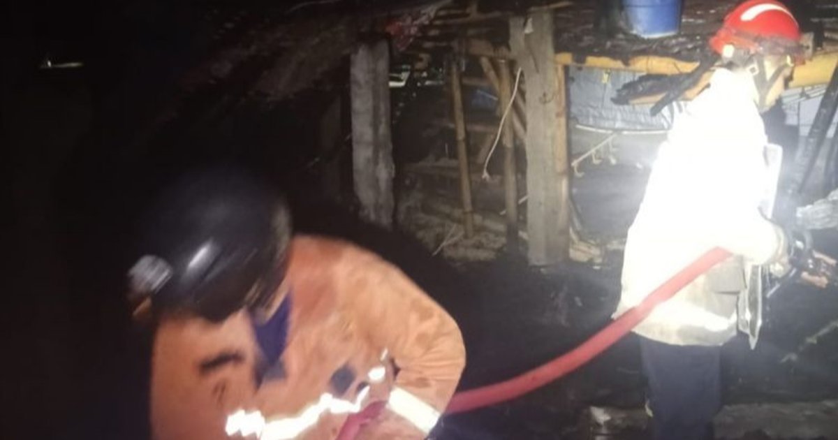 Ribuan Anak Ayam Mati Terpanggang, Sumber Api Diduga dari Pemanas di ...