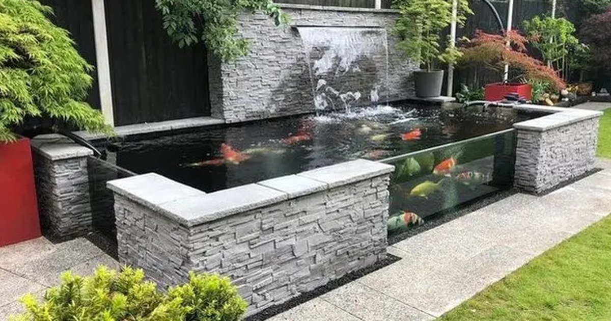 41 Model Kolam Ikan Minimalis di Lahan Sempit yang Menakjubkan ...