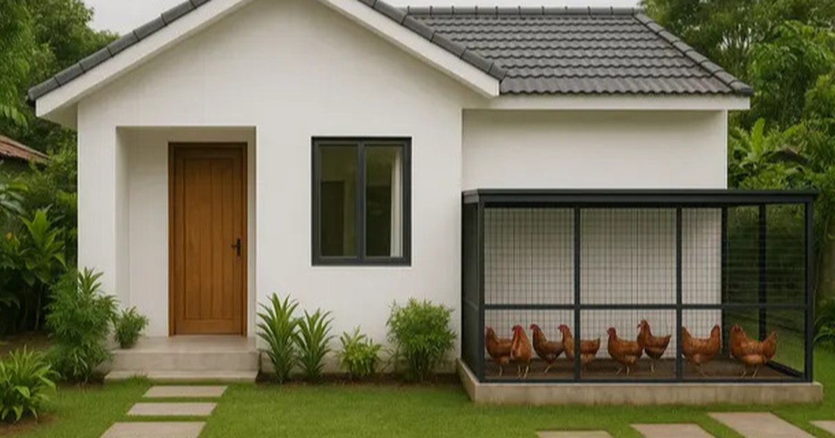 Tetap Bisa Menikmati Hobi Tanpa Melanggar Aturan, Begini Tipsnya Cara Pelihara Ayam di Perumahan ...