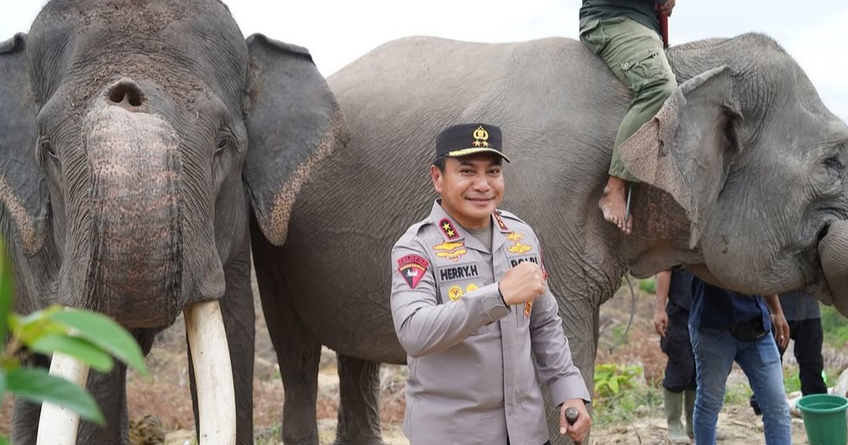 Ramai-Ramai Jenderal TNI dan Polisi 'Jalan-Jalan' ke Hutan, Ada Momen ...