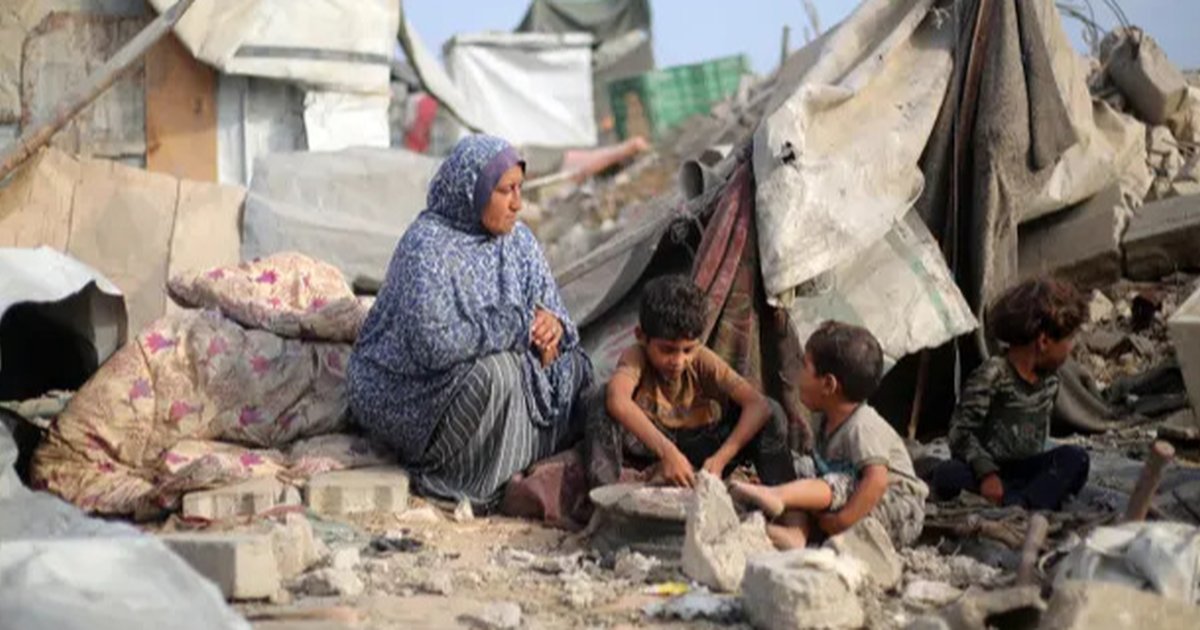 Data PBB: 798 Warga Palestina Tewas Ditembak Militer Israel saat Antre ...