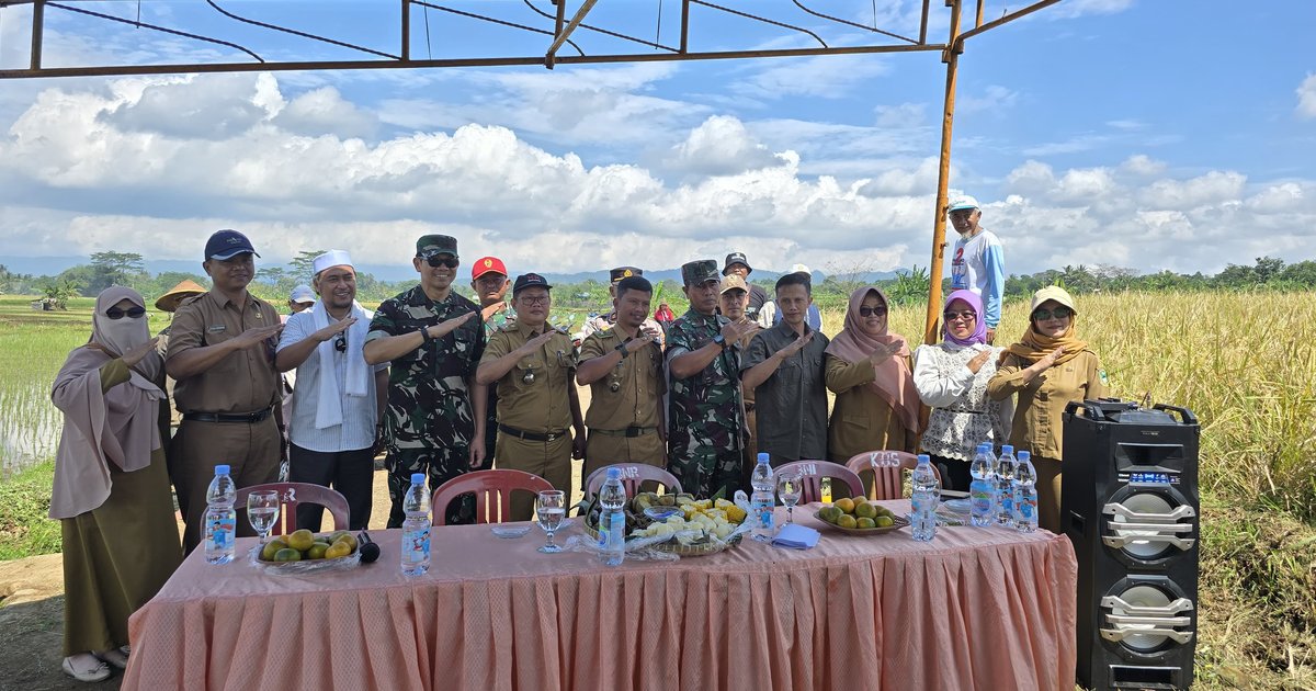 Kiprah Marsma TNI Samsul Rizal, Dari Pesawat Tempur hingga Menjadi ...